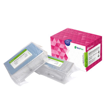 Bioer Pre-Filled MagaBio Plus Tissue Genomic DNA Purification Kit 32T ...