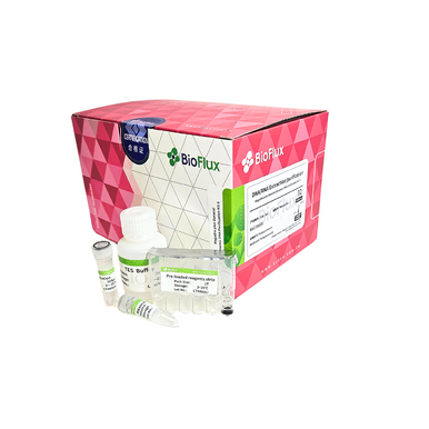 Bioer Pre-Filled Individual MagaBio plus General Genomic DNA ...
