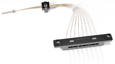 SciCap™ 4 Capillary Array, 36 cm
