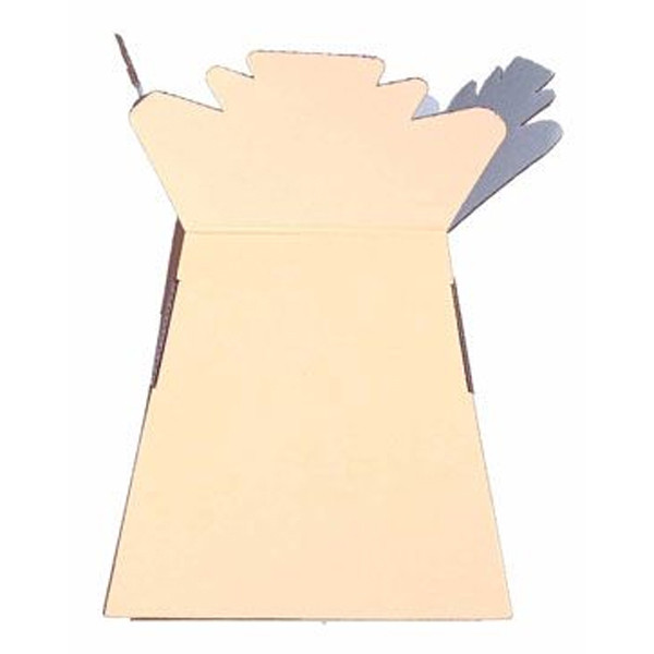 Living Vase Flower Bouquet Delivery Boxes - Assorted Colours