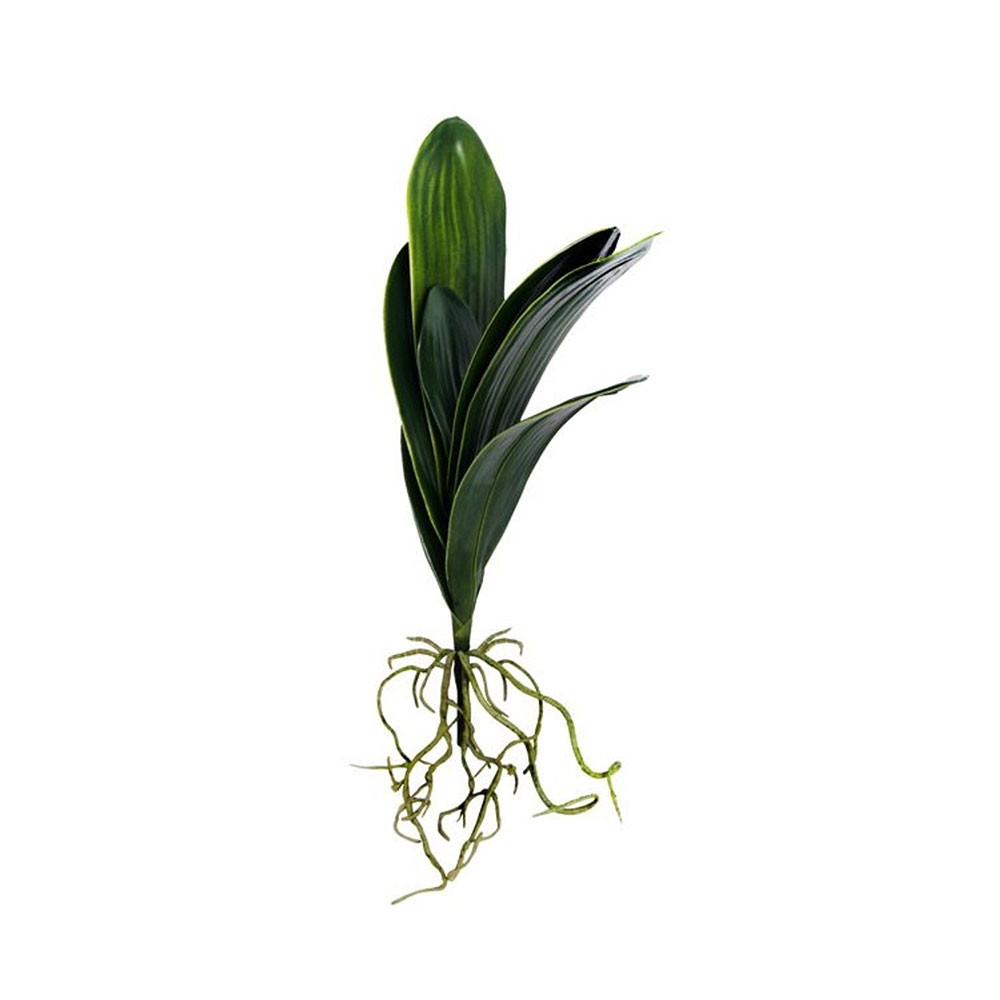 Artificial Orchid Leaf And Trailing Root Bundle 48cm/19 Inches