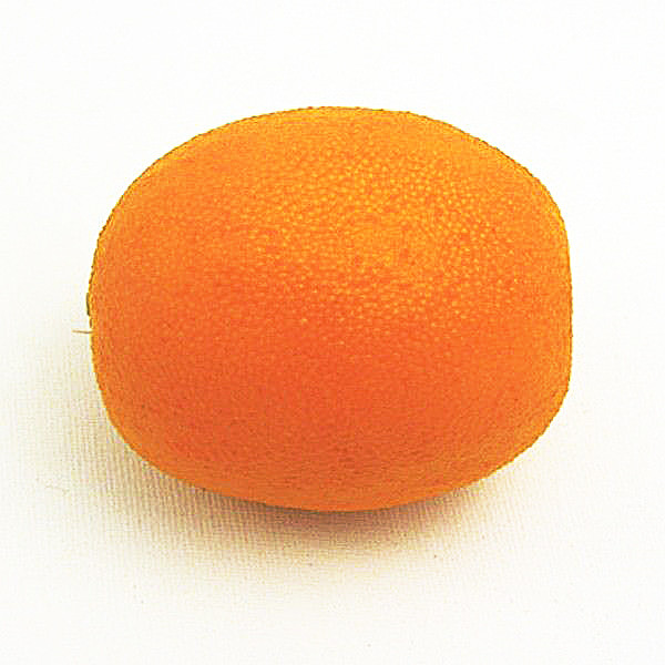 Orange Fruit Very Realistic 8cm/3 inch Diameter