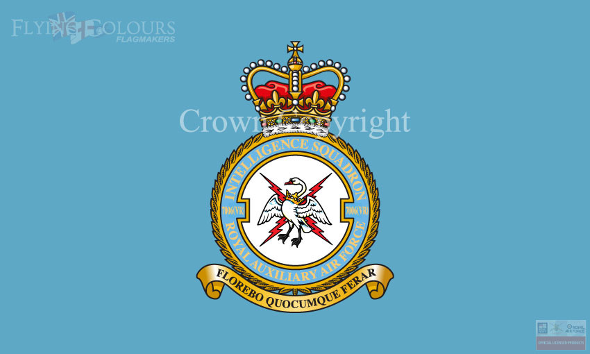 RAF Intelligence Branch Flag | Officially Licenced MoD Artwork Flags ...