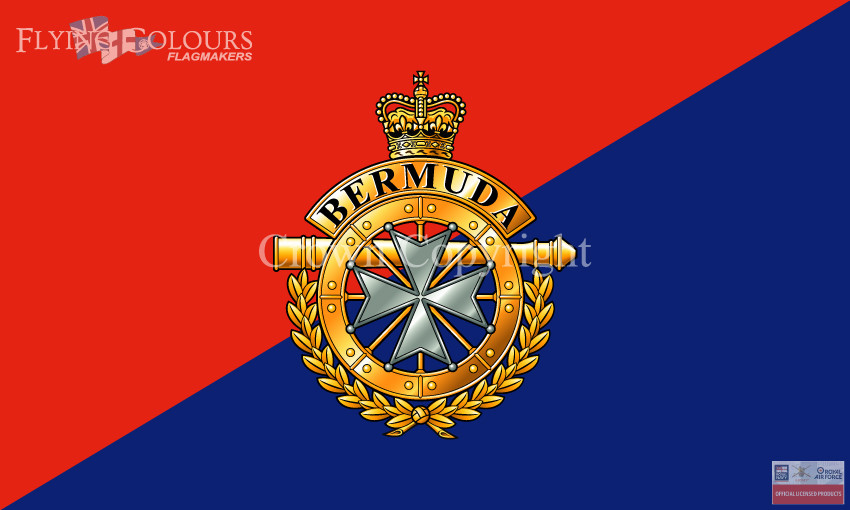 Royal Tank Regiment flag | Officially Licenced MoD Artwork Flags | Made ...