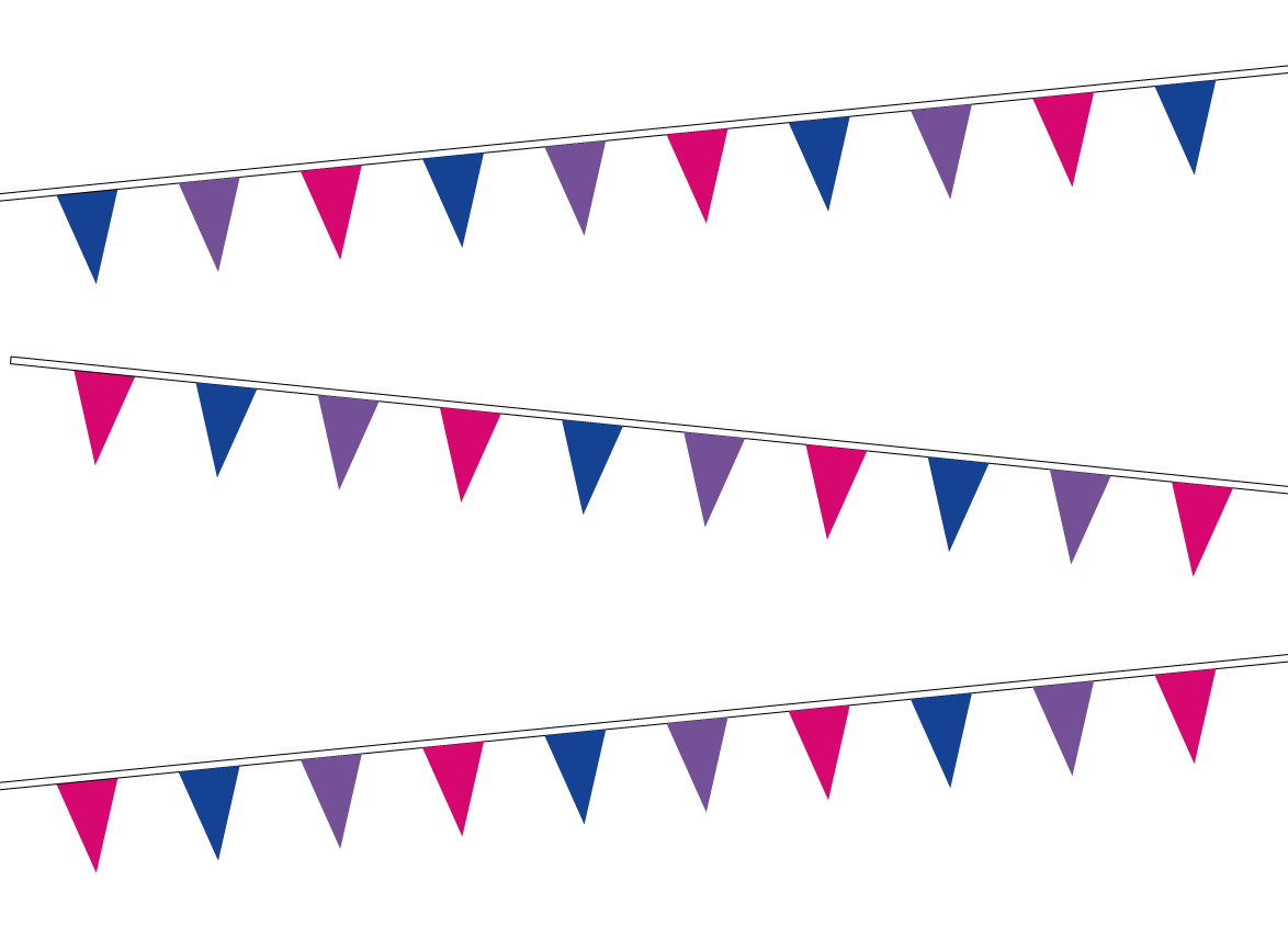 Buy Stock Colour Bunting Online | Fabric Bunting | Made in Britain
