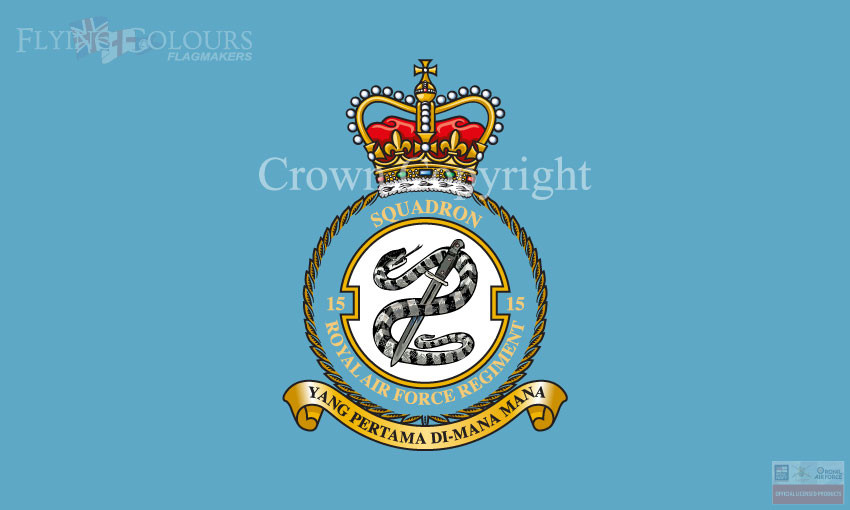 RAF Valley Flag | Officially Licenced MoD Artwork Flags | Made in Britain