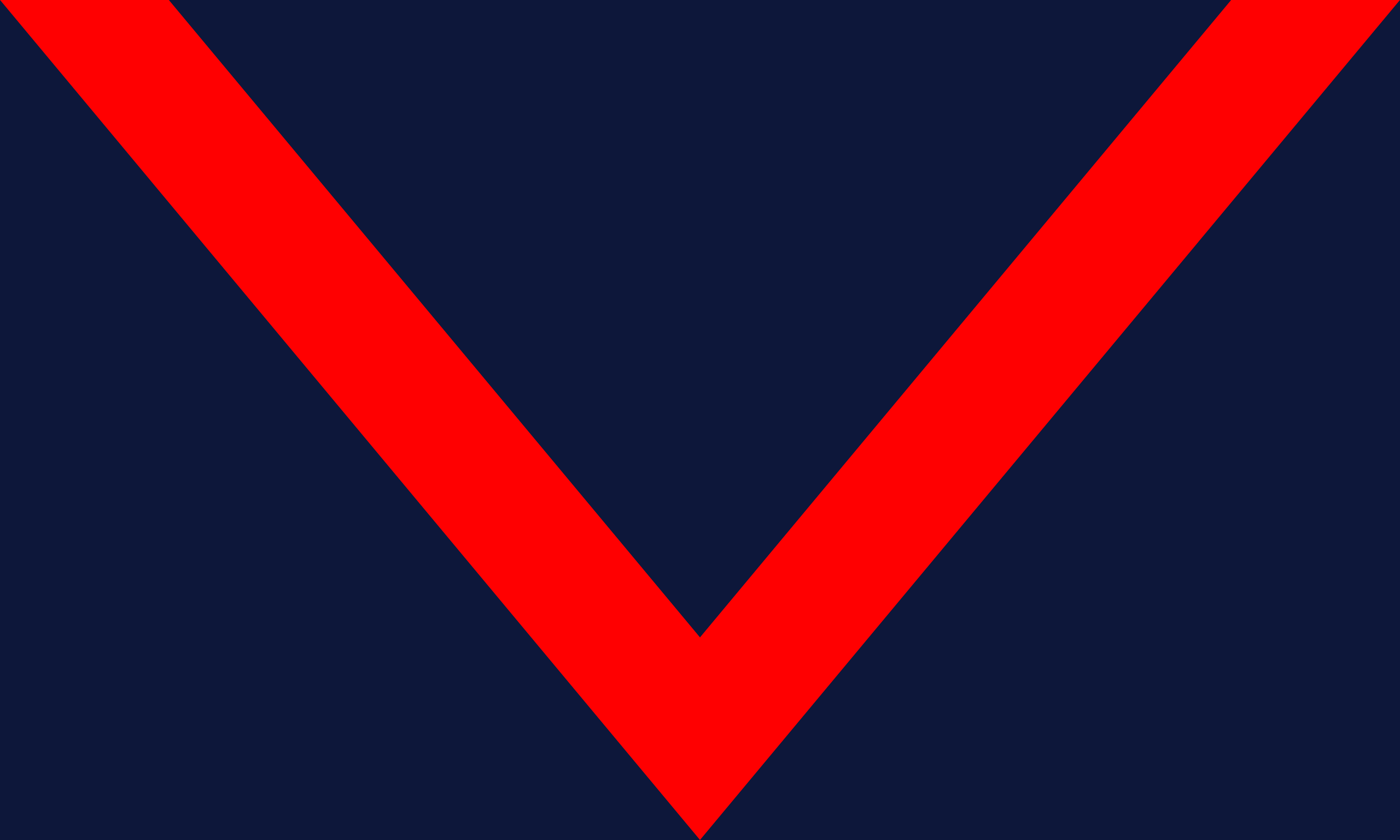 VE Day 80th Flag | British Made Flags