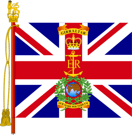 Buy The Queen s Colour of 40 Commando, The Royal Marines Online ...