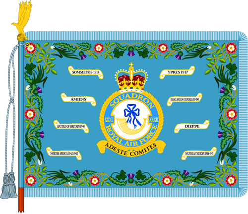 Buy The Squadron Standard of No.32 (The Royal) Squadron, RAF Online ...