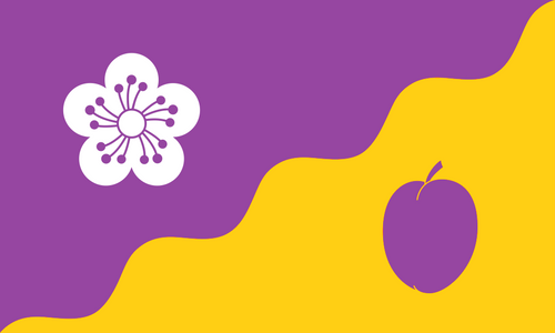 Buy Flore Flag Online | British County & Town Flags | 13 sizes