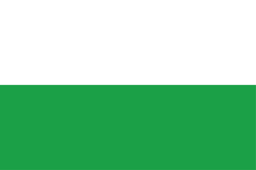 Buy Styria Flag Online | Printed & Sewn Flags | 13 sizes