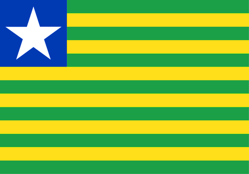 Buy Piauí Flag Online | Printed & Sewn Flags | 13 sizes