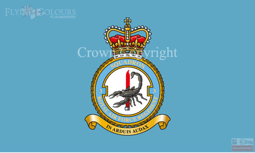 RAF 3 Regiment Squadron Flag | Officially Licenced MoD Artwork Flags ...