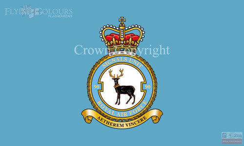 RAF 90 Signals Unit Flag | Officially Licenced MoD Artwork Flags | Made ...