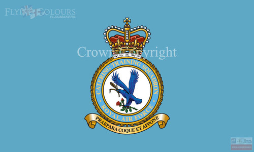 RAF Catering Training Squadron Flag | Officially Licenced MoD Artwork ...