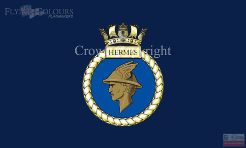 HMS Hermes Flag | Officially Licenced MoD Artwork Flags | Made in Britain