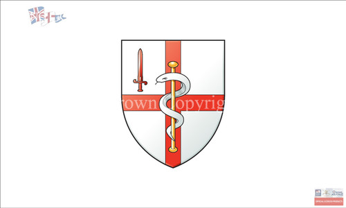 256 Field Hospital flag | Officially Licenced MoD Artwork Flags | Made ...