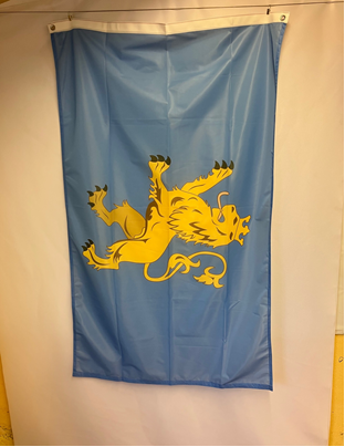 Lviv Flag - Flying Colours Flagmakers