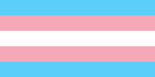 Transgender Pride (Clearance) - Flying Colours Flagmakers