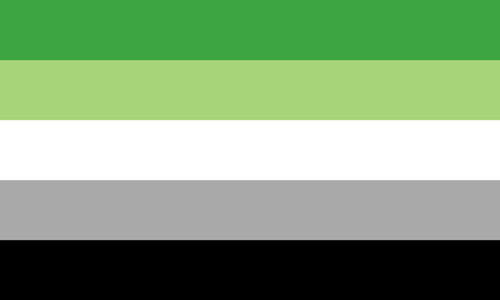 Aromantic Pride Flag For Sale | Made in Britain