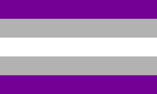 Grey Pride Pride Flag For Sale | Made in Britain