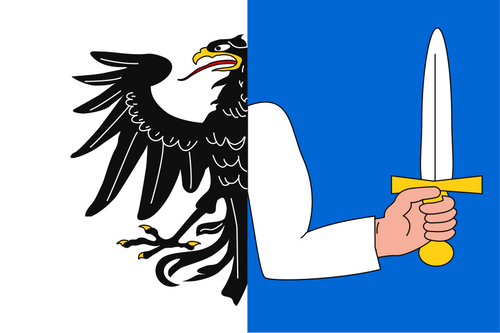 Buy Connacht Flag Online | Printed & Sewn Flags | 13 sizes