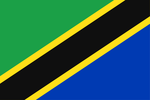 Buy Tanzania National Flag Online | Printed & Sewn Flags | 13 sizes