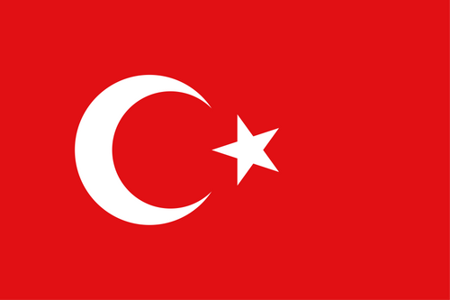 Buy Turkey National Flag Online | Printed & Sewn Flags | 13 sizes
