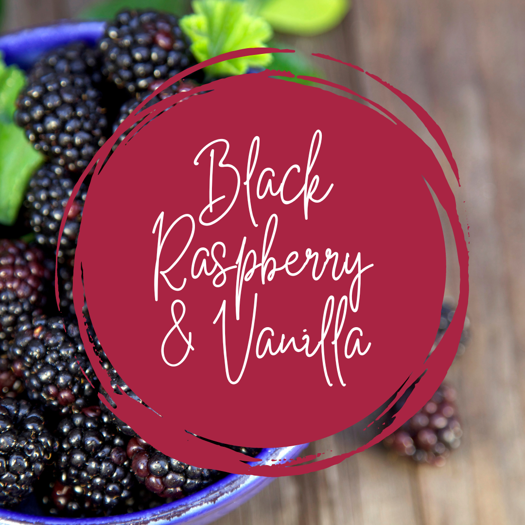 Black Raspberry & Vanilla Tea Light 10 Pack - Wicked Earth