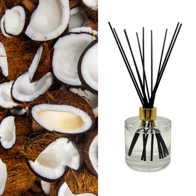 Coconut Lime Reed Diffuser Set - Wicked Earth