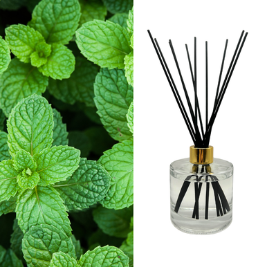 Breathe Easy Reed Diffuser Set - Wicked Earth