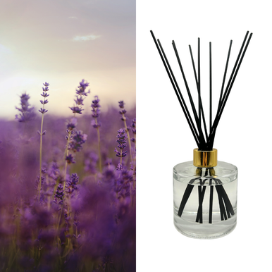 French Lavender Reed Diffuser Set - Wicked Earth