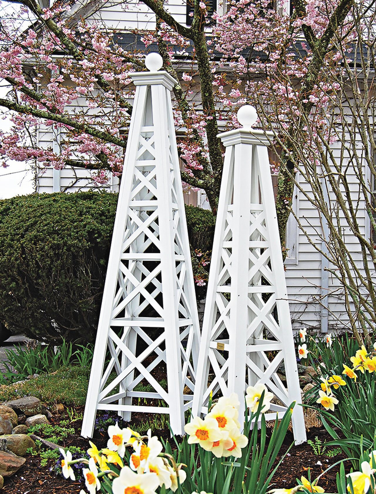 Garden Obelisks for Climbing Plants: 10 Plants That Will Thrive ...