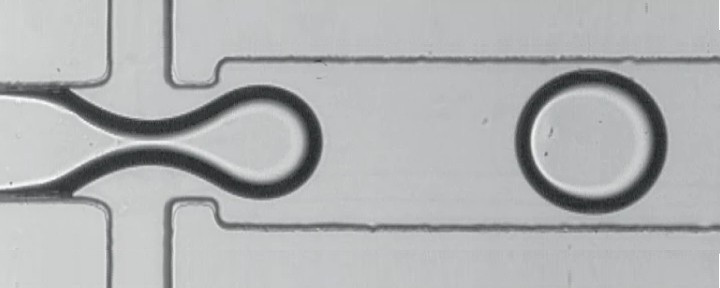 ELEXAN Scientific | Trusted Partner for Microfluidics and Fabrication