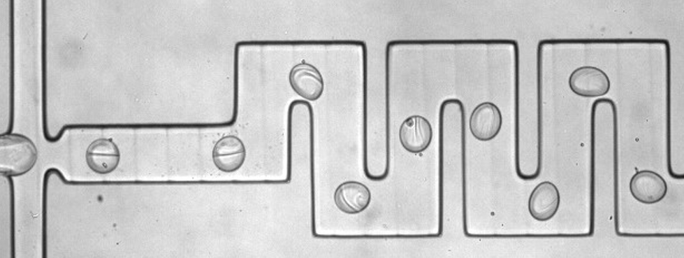 Application Note: Enhanced Drop-seq with ODIN - ELEXAN Scientific