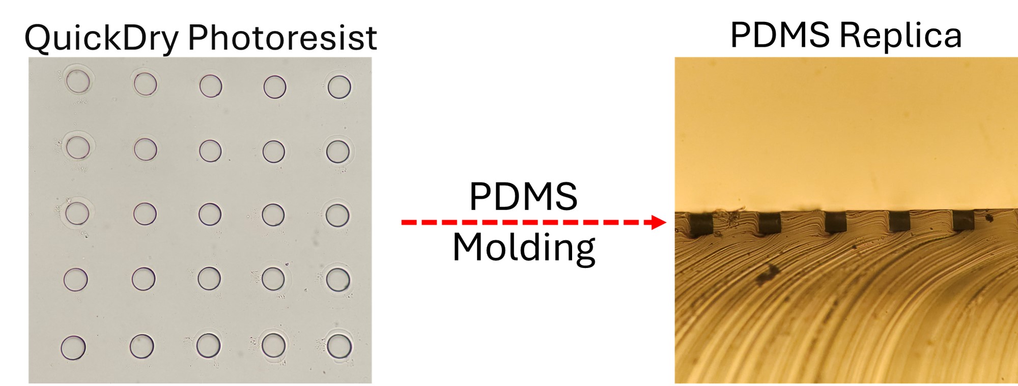Example Protocol for using SQ QuickDry instead of SU-8 for PDMS Soft ...