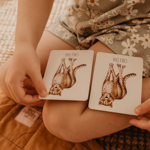 Snap & Go Fish Africa | Endless Play Collective