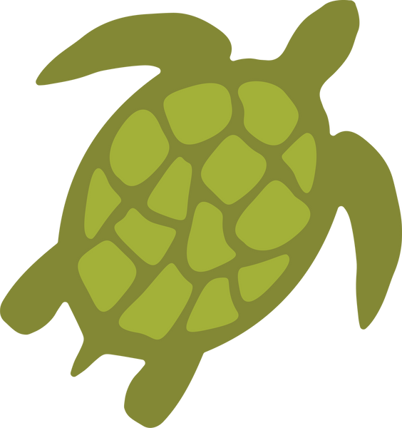 Turtle 2 Svg Cut File Snap Click Supply Co
