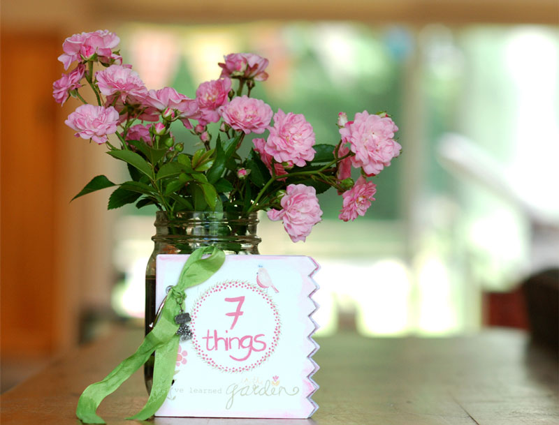 7 Things - Snap Click Supply Co.