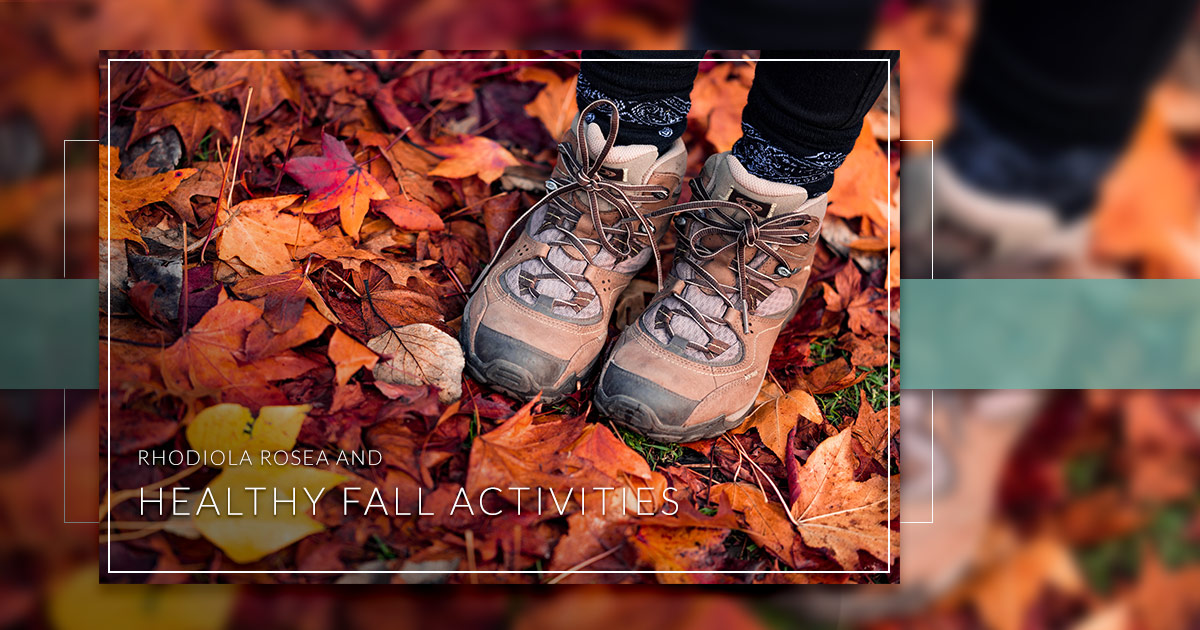 Rhodiola Rosea and Healthy Fall Activities - Ameriden International ...