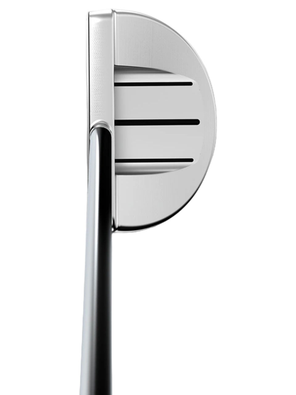 Wilson Staff Model Putter- CS22 | GolfBox