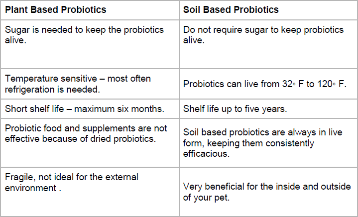 Why Probiotics Are Important for Your Pet's Health - P2 Probiotic Power