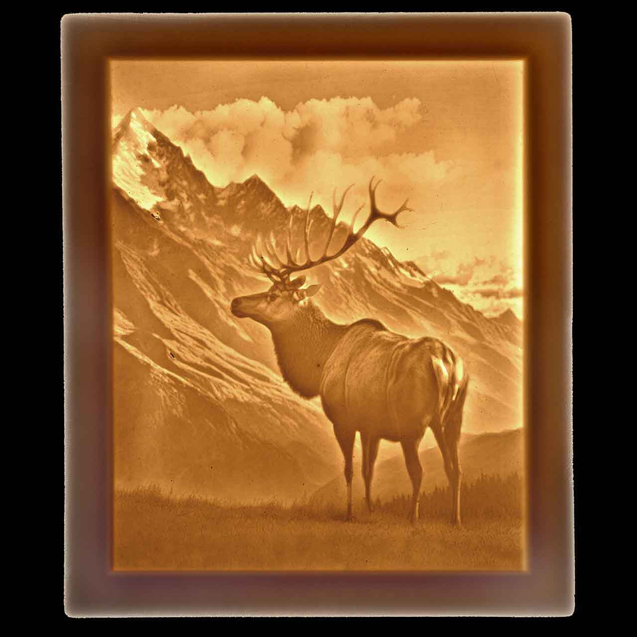 ELK LITHOPHANE REPLACEMENT PANEL U342