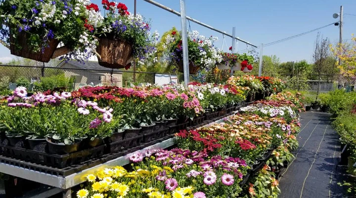 Surprising All Seasons Garden Center Pictures