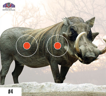 Accessories - Safari Targets - SPOT-HOGG