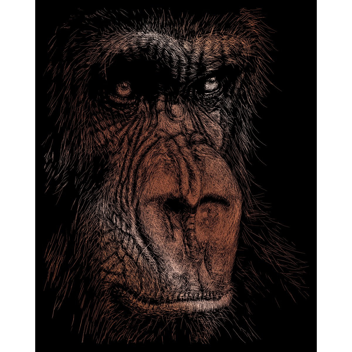 Engraving Art Kit - The Wise Simian Design - Artist & Craftsman Supply