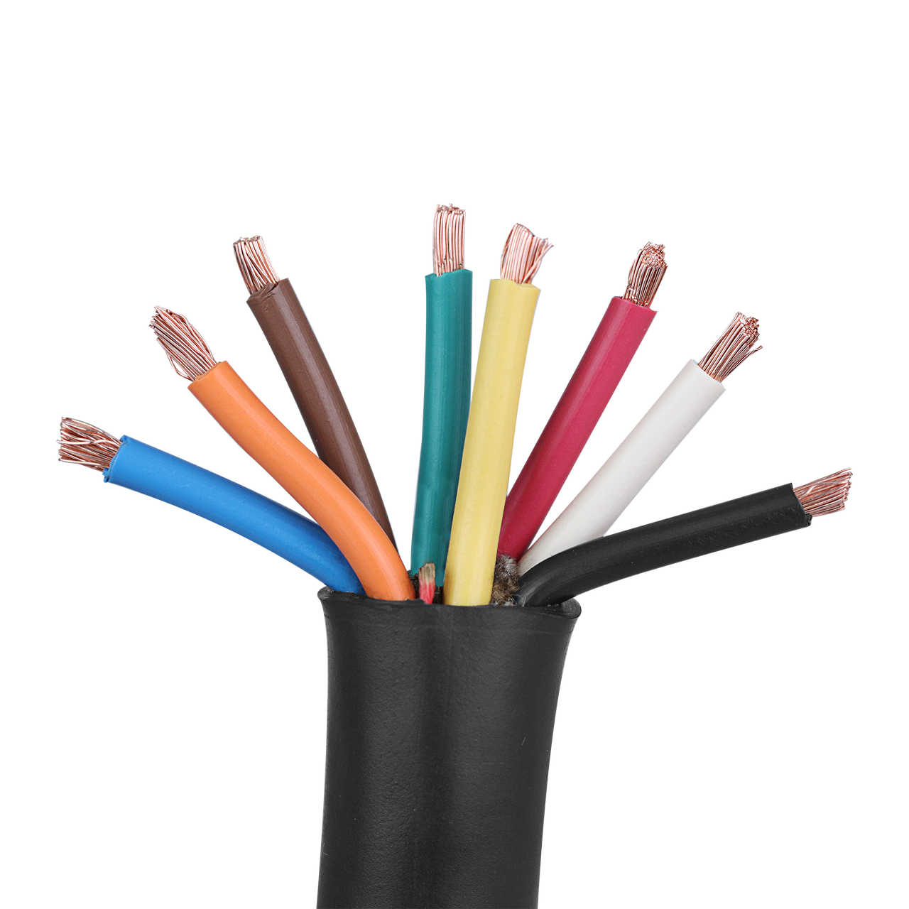 Elite Core CSS-8C-NN Premium Speaker cable with Genuine Neutrik NL8FC ...