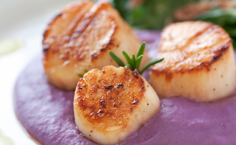 Super Colossal Scallops 6-10 ct | Great Alaska Seafood