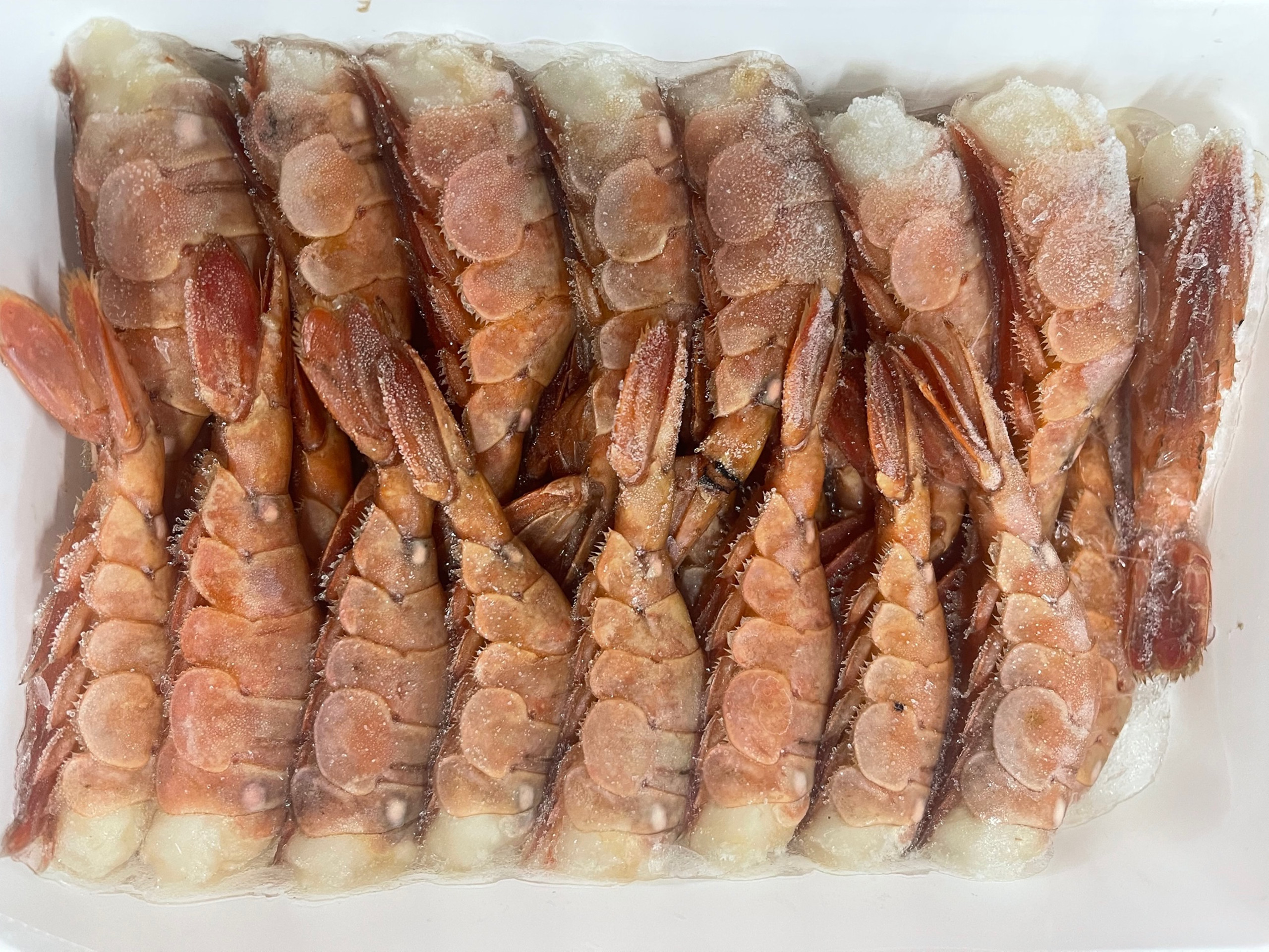 Alaskan Spot Prawns | Alaska Shrimp | Great Alaska Seafood