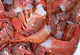 Mega Prawns® | Great Alaska Seafood
